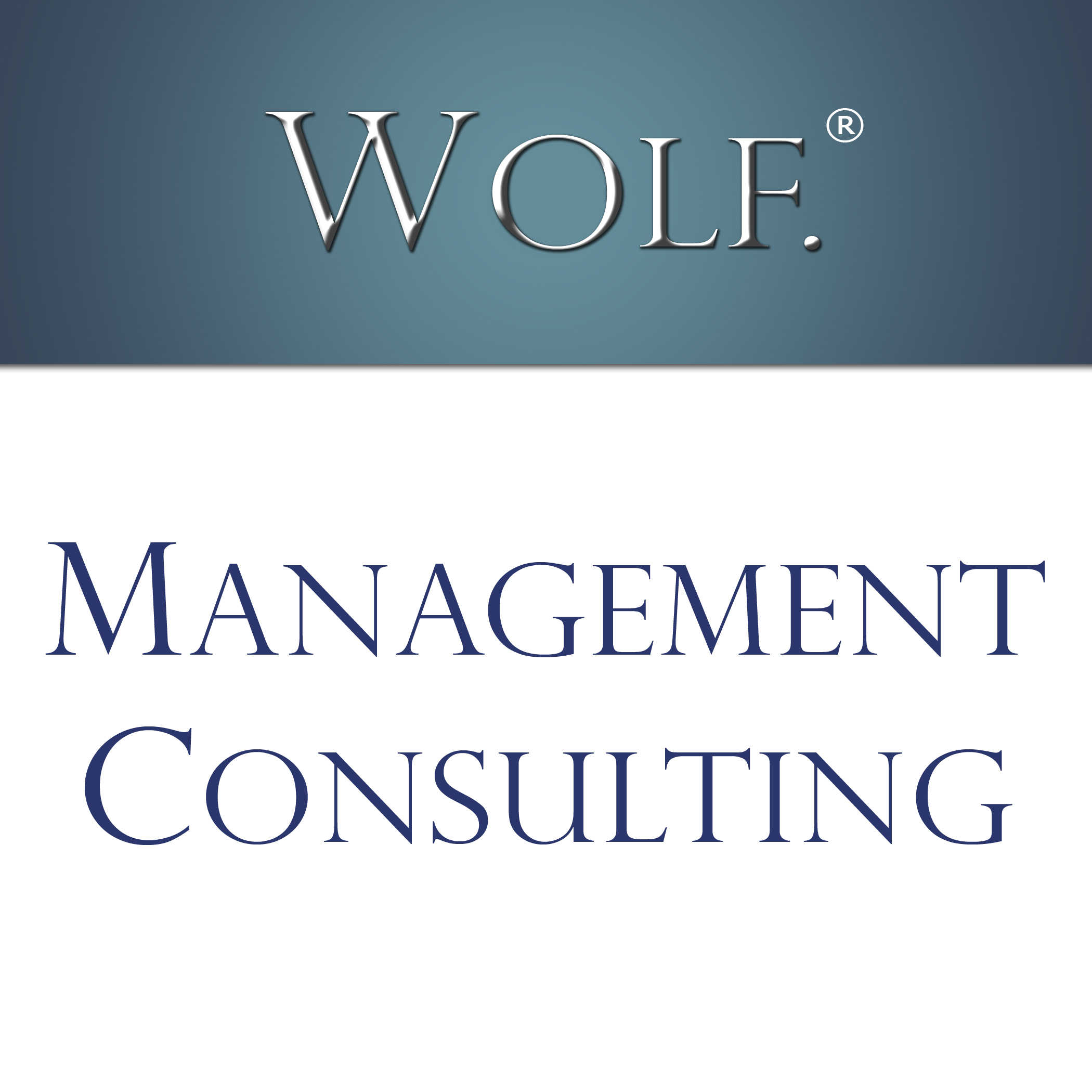 German Management Consultant: Gunther Wolf